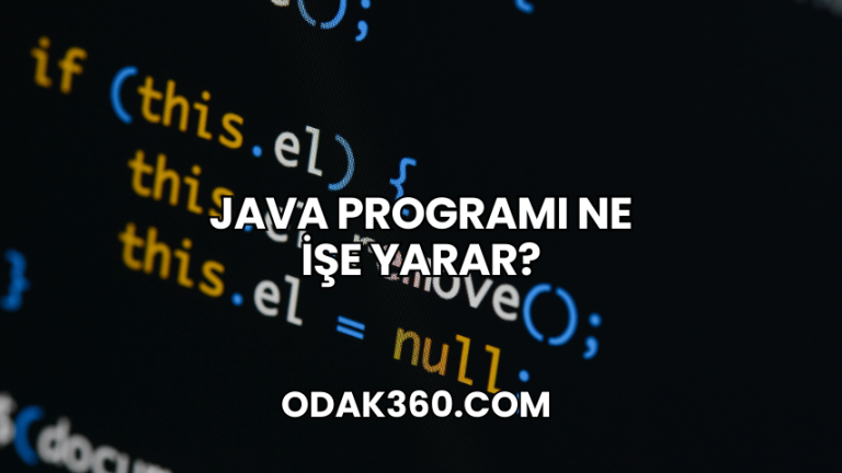 Java Programı Ne İşe Yarar? - Odak360