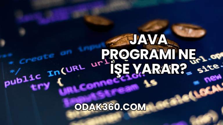 Java Programı Ne İşe Yarar? - Odak360